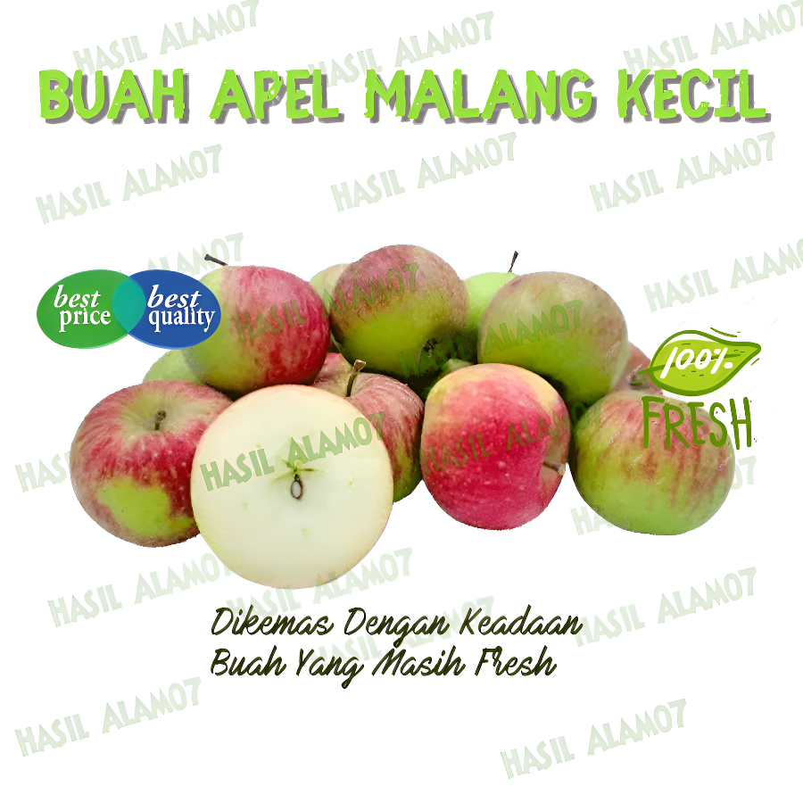Jual Buah Apel Malang Apple Super Segar Fresh Fruits Harga 1Kg | Shopee ...