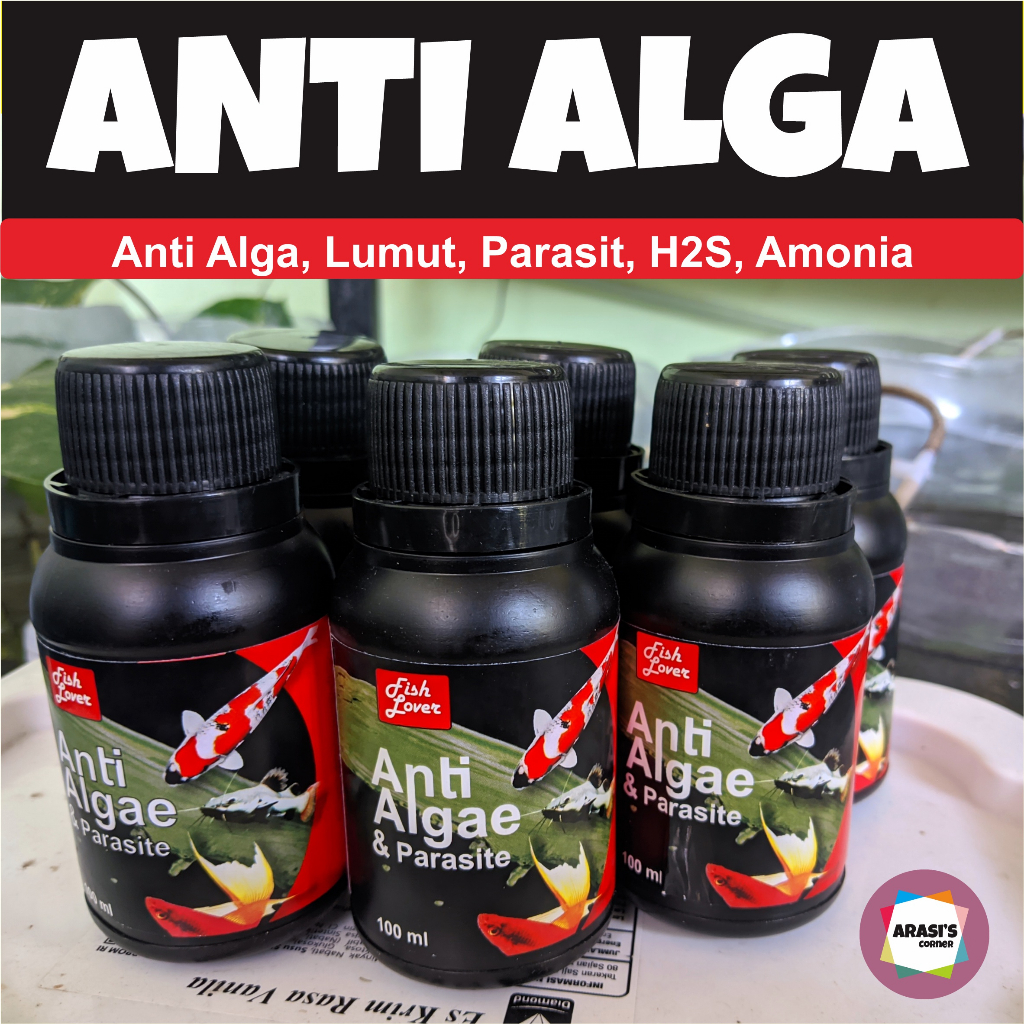Jual Obat Anti Alga Lumut & Parasit Ikan Aquarium Kolam | Shopee Indonesia