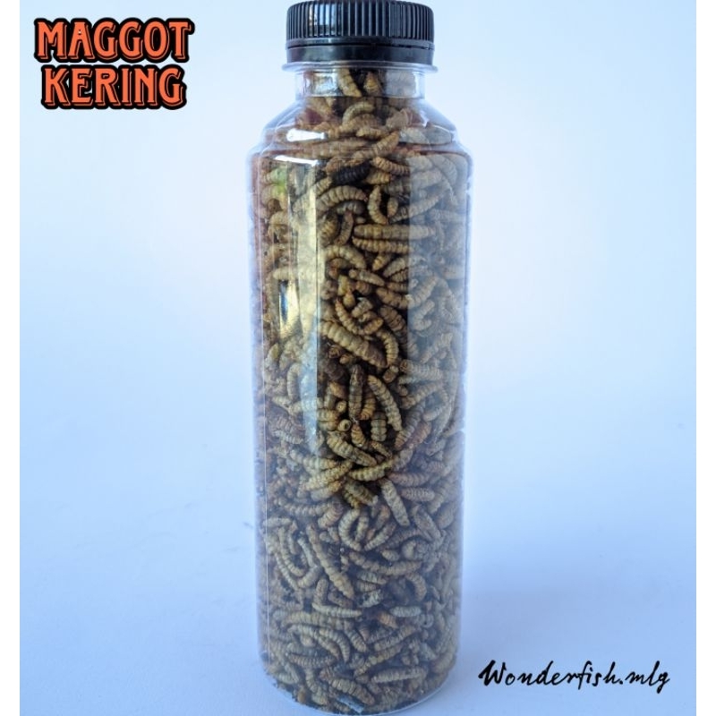 Jual Maggot Kering super grade A | Shopee Indonesia