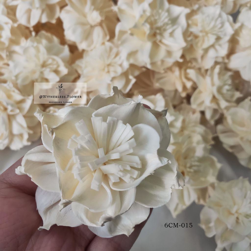 Jual Bunga Sola Wood Flowers 6 CM / Bunga Kayu | Shopee Indonesia