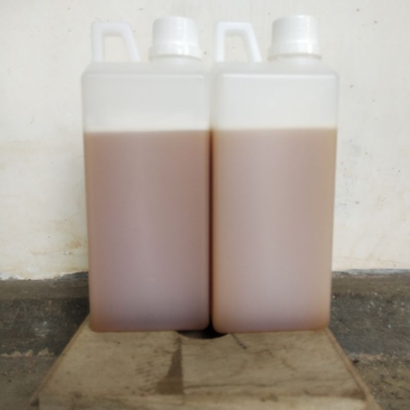 Jual madu klanceng lanceng trigona itama 1kg | Shopee Indonesia