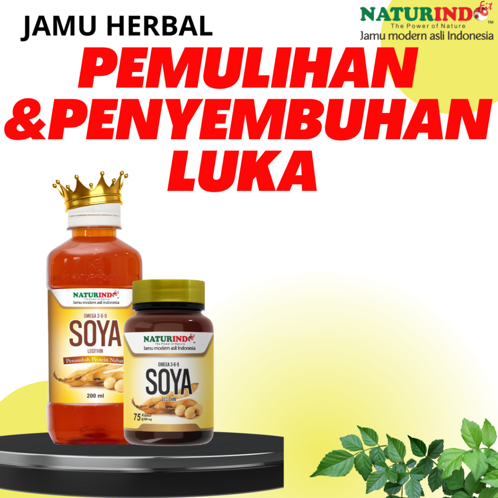 Jual SUPLEMEN PENYEMBUH LUKA PEMULIHAN SOYA LECITHIN LESITIN KEDELAI ...