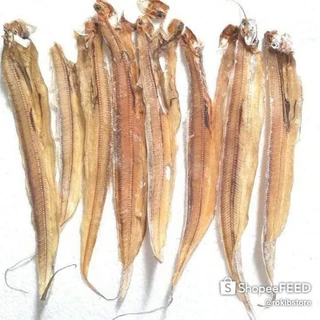 Jual Ikan Layur Terlengkap & Harga Terbaru Juli 2024 | Shopee Indonesia