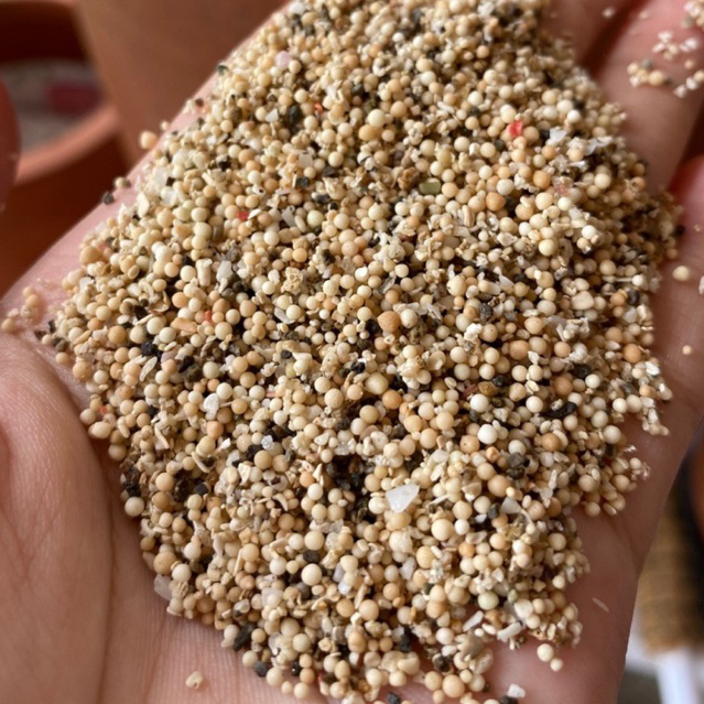 Jual Pasir Pantai / Pasir Bali / Pasir Merica / Pasir Bahan Craft ...