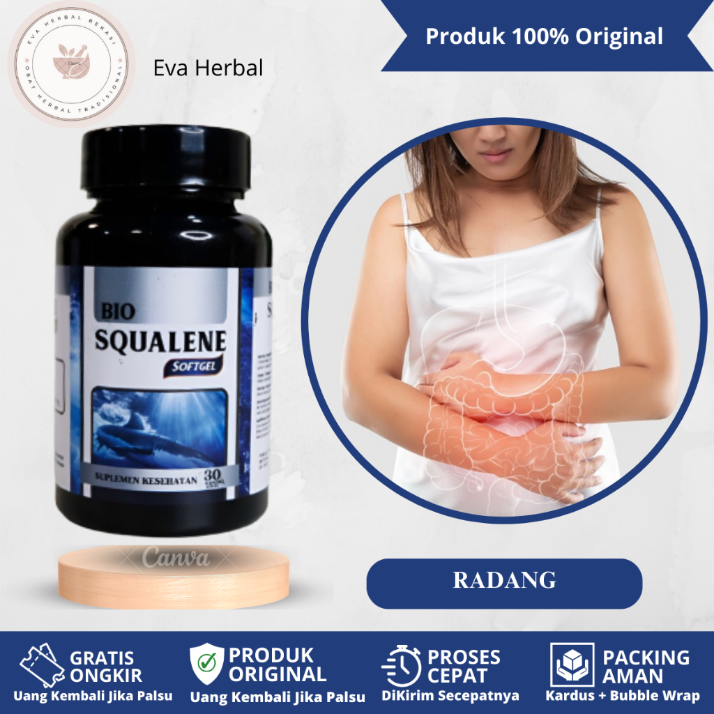 Jual bat Usus Buntu, Obat Usus Luka, Infeksi Usus, Obat Usus Kotor ... Jual bat Usus Buntu, Obat Usus Luka, Infeksi Usus, Obat Usus Kotor ...