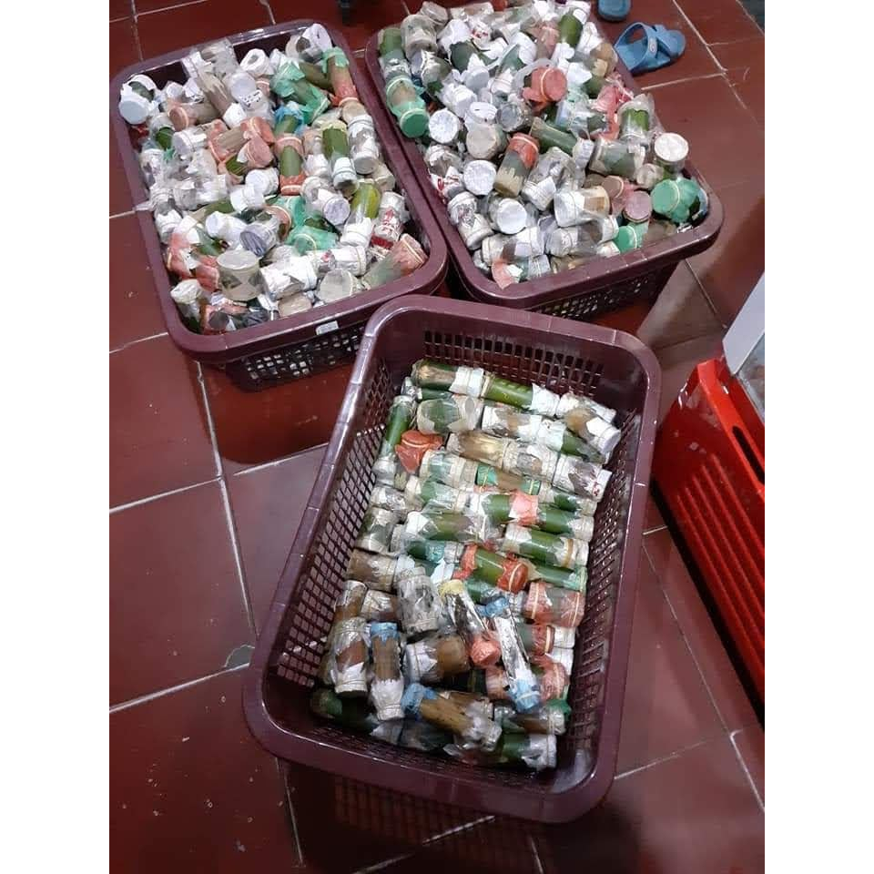Jual Ulat Bambu isi 20 ekor | Shopee Indonesia
