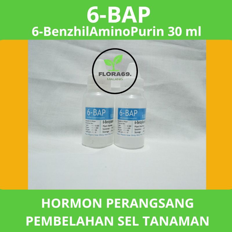 Jual hormon 6 bap benzylaminopurine bap biru hormon pertumbuhan tunas ...