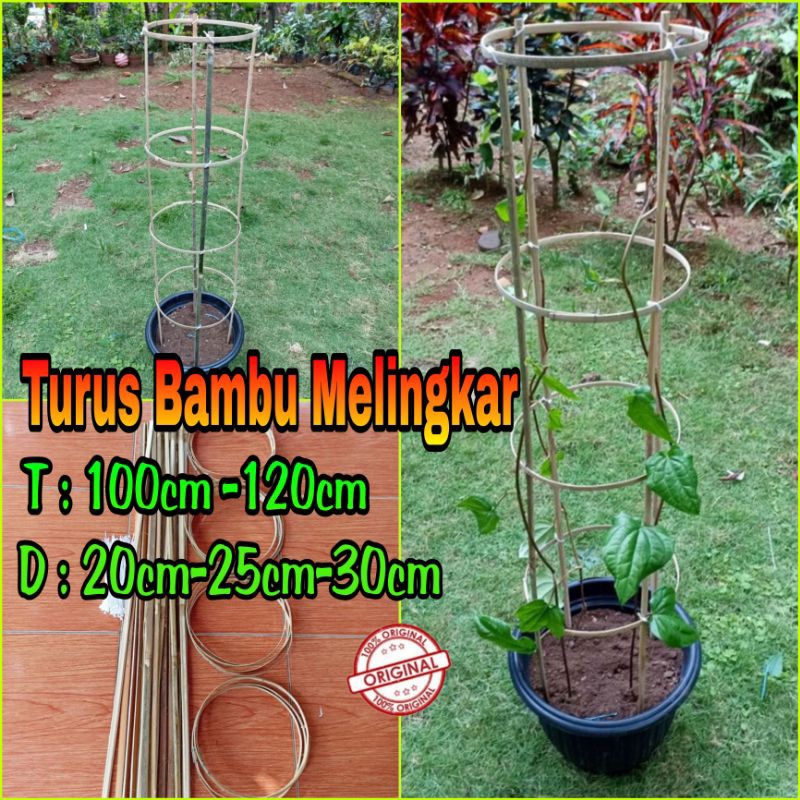 Jual Turus Bambu Melingkar 100cm-120cm/Ajir Penyangga Rambatan Tanaman ...