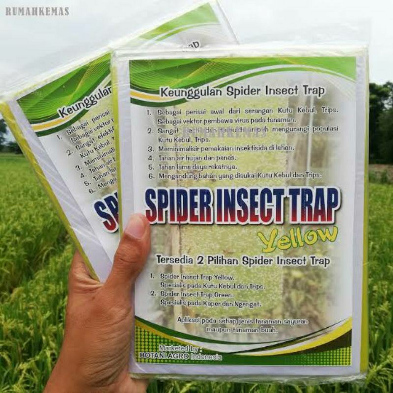 Jual Spider Insect trap Yellow / Hijau Isi 20 Lembar perangkap Hama ...