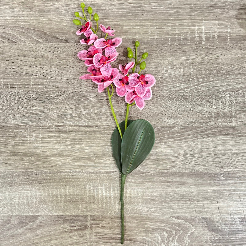 Jual Bunga Anggrek Mini Premium X2 (Satuan) Bunga Anggrek Orchid ...