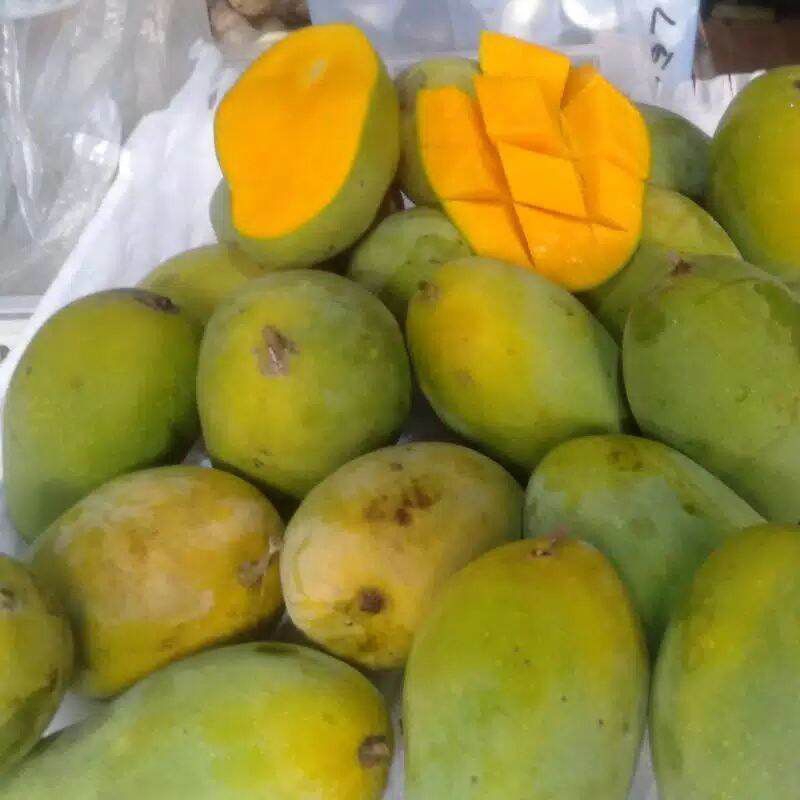 Jual Mangga harum manis 1kg | Shopee Indonesia
