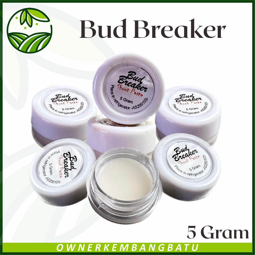 Jual Bud Breaker 5 Gram Pasta Penumbuh Tunas Tanaman Anggrek 100% ...