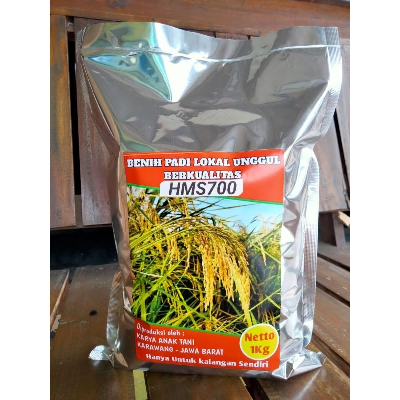 Jual Benih bibit padi unggul HMS700 kemasan 1kg | Shopee Indonesia