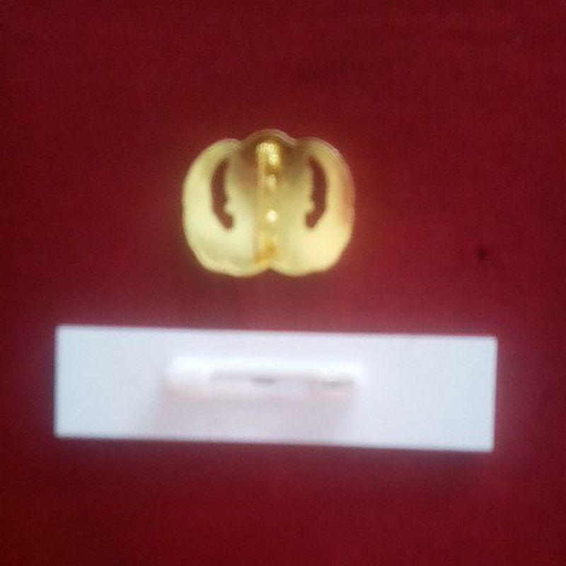 Jual Paket Name Tag /Papan Nama ASN + Pin Korpri | Shopee Indonesia