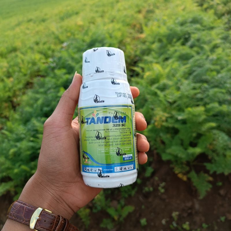 Jual fungisida tandem 250 ml original | Shopee Indonesia