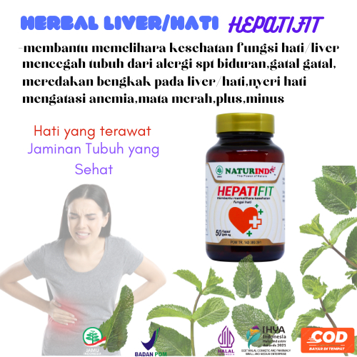 Jual Herbal Hati /Liver Mengatasi Hepatitis,Alergi,Bengkak Liver ...
