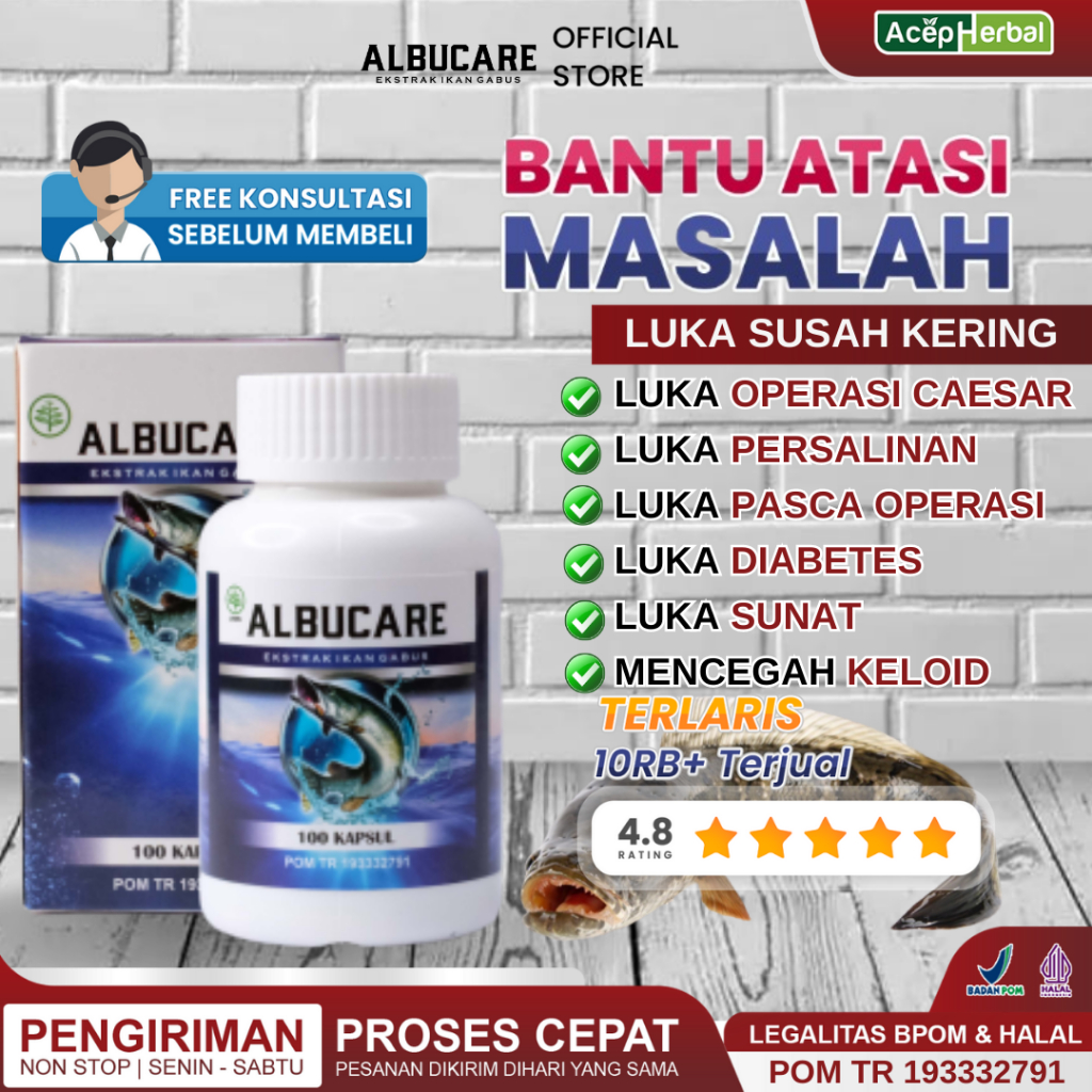 Jual Albucare Kapsul Kutuk Ikan Gabus Albumin Obat Pengering Luka Pasca ...