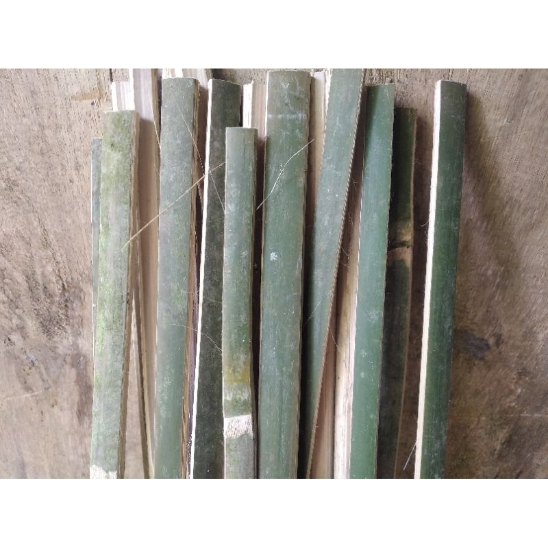 Jual BAMBU BILAH BAMBU AJIR TANAMAN PENYANGGA TANAMAN 50 CM | Shopee ...