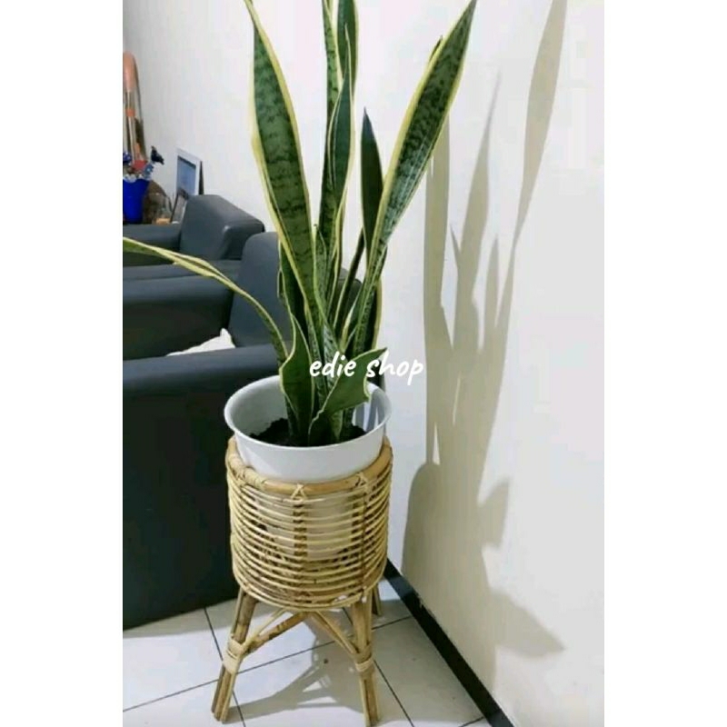 Jual standing pot rotan standing planter diameter 30cm | Shopee Indonesia