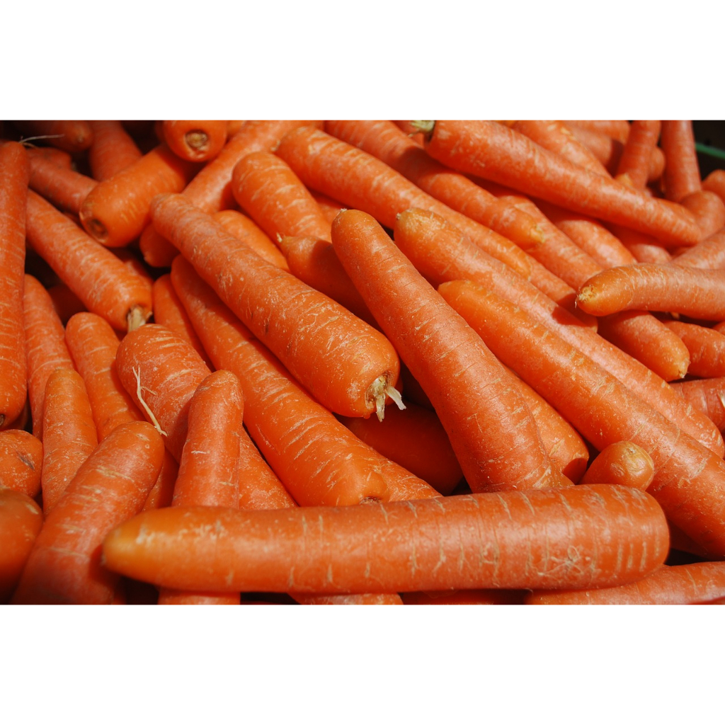 Jual Sayur / Sayuran / Wortel / Bortol Segar | Shopee Indonesia