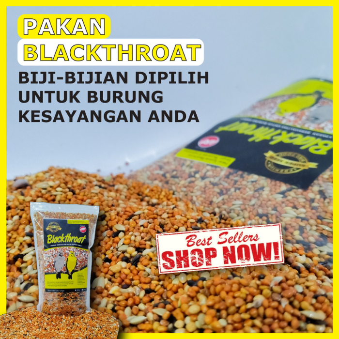 Jual Pakan Burung Blackthroat Sanger Mozambik dan Burung Finch Pakan ...