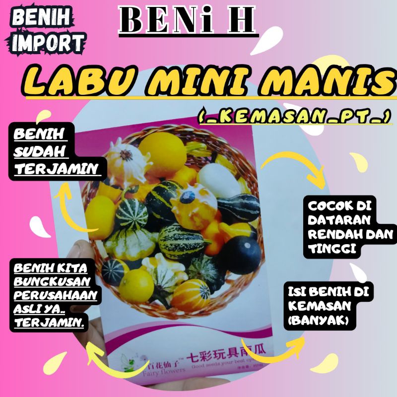 Jual BENIH LABU MINI MANIS BERKUALITAS TINGGI | Shopee Indonesia
