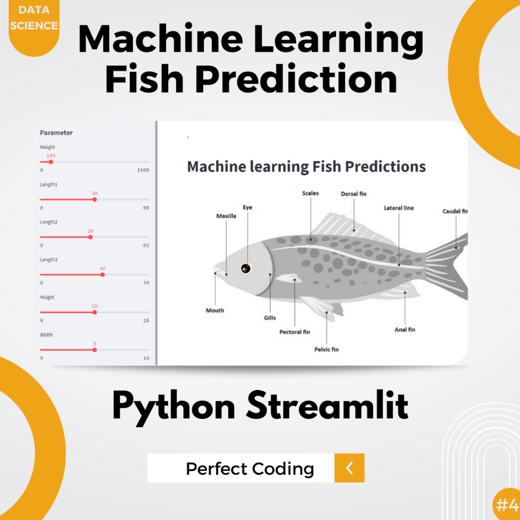 Jual Program Source Code Machine Learning Prediksi Ikan Fish Python ... Jual Program Source Code Machine Learning Prediksi Ikan Fish Python ...