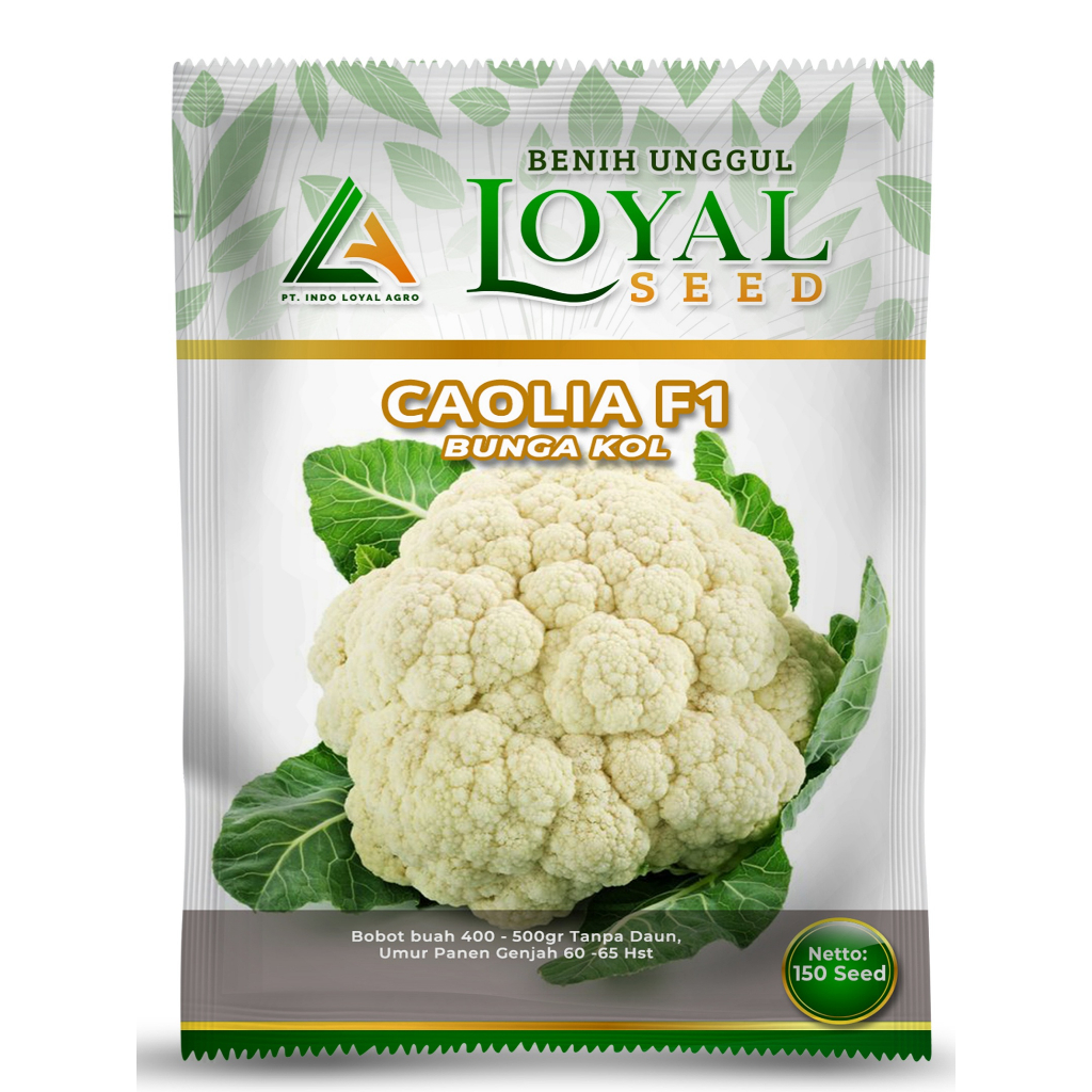Jual BENIH BUNGA KOL CAOLIA F1 / BIBIT KEMBANG KOL CAOLIA F1 CAP LOYAL ...