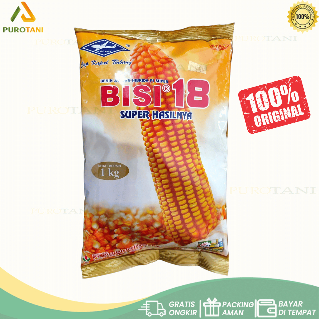Jual Benih Jagung Bisi 18 1kg Jagung Hibrida F1 Super BISI 18 Kapal ...
