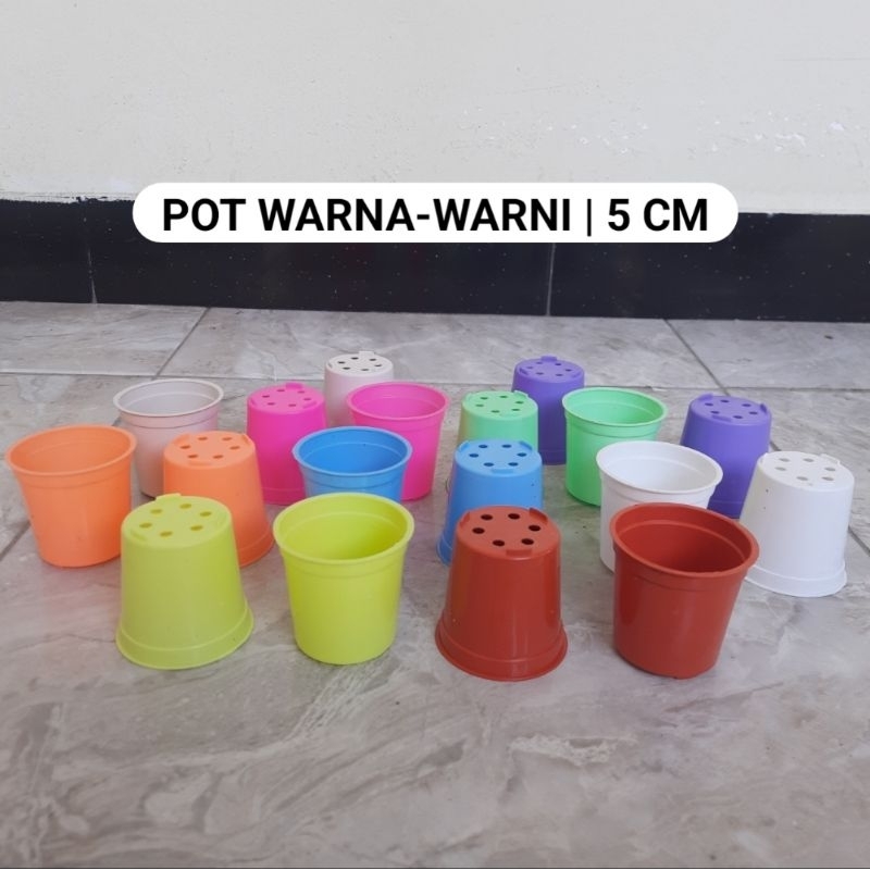 Jual Pot Kecil Warna-Warni | 5 cm | Shopee Indonesia