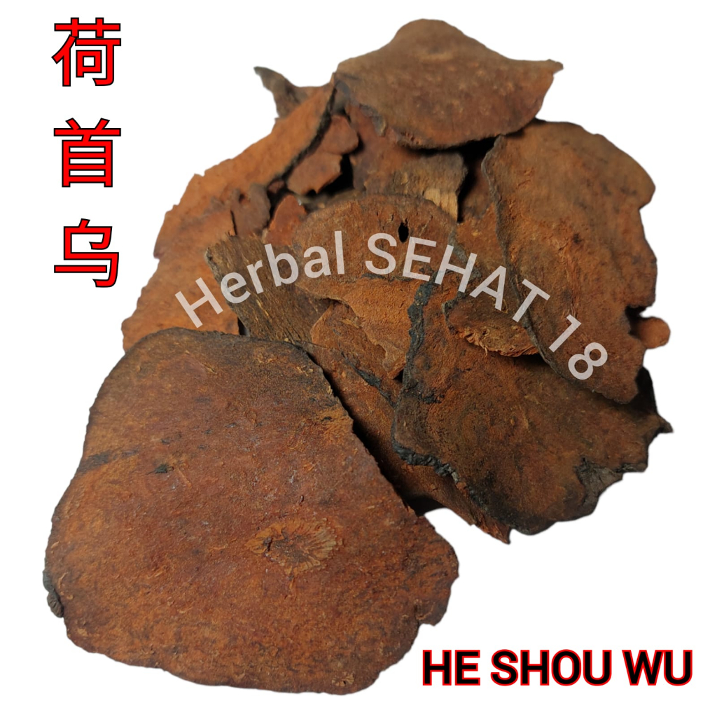 Jual He Shou Wu Pian - Grade A - Shou Bu - Radix Polygoni Multiflori ...