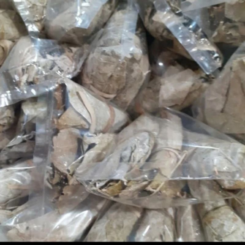 Jual Daun Gambir Kering 1 bks | Shopee Indonesia