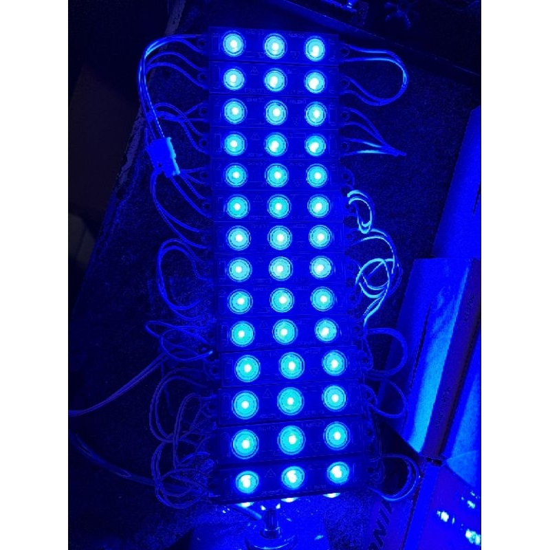 Jual Lampu Modul Led 3 Per Kemping Isi 20 Mata Ac Dc Lampu Led Modul