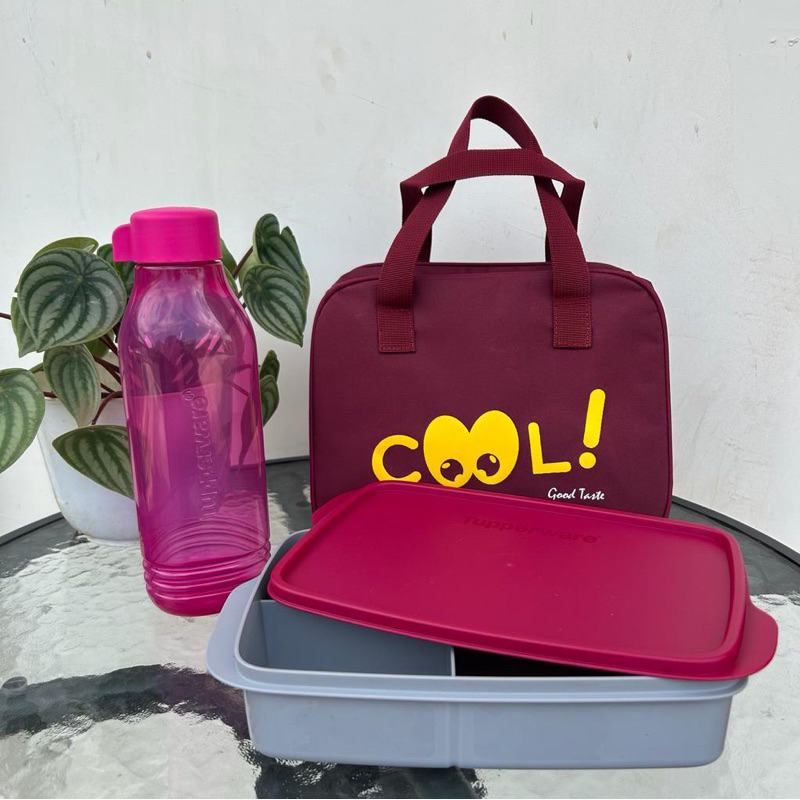 Jual bekal TUPPERWARE / Coolteen lunch set | Shopee Indonesia