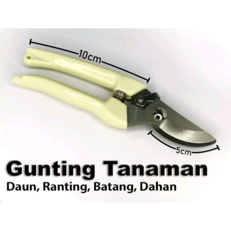 Jual Gunting Tanaman Daun Ranting Batang Dahan Alat Berkebun PUTIH ...