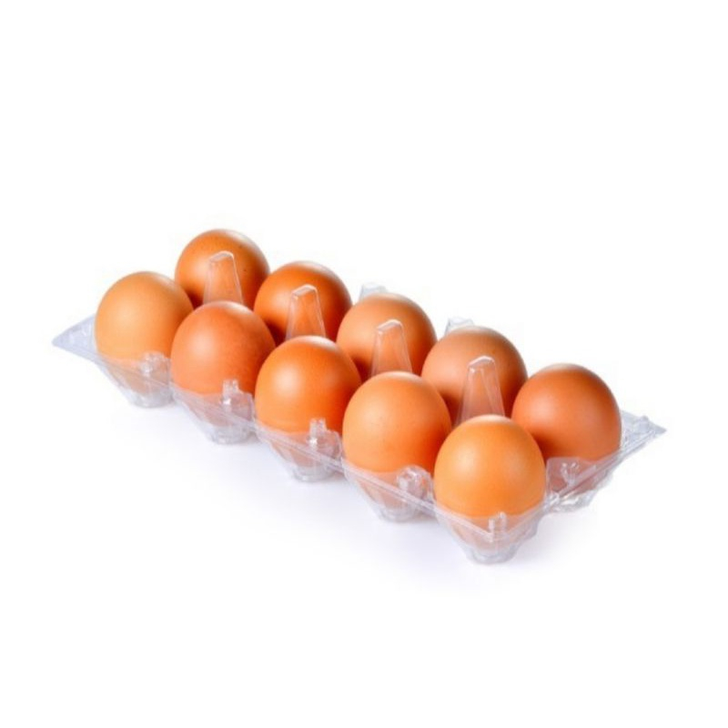 Jual Telur Ayam Negeri 1 pack isi 10 butir | Shopee Indonesia