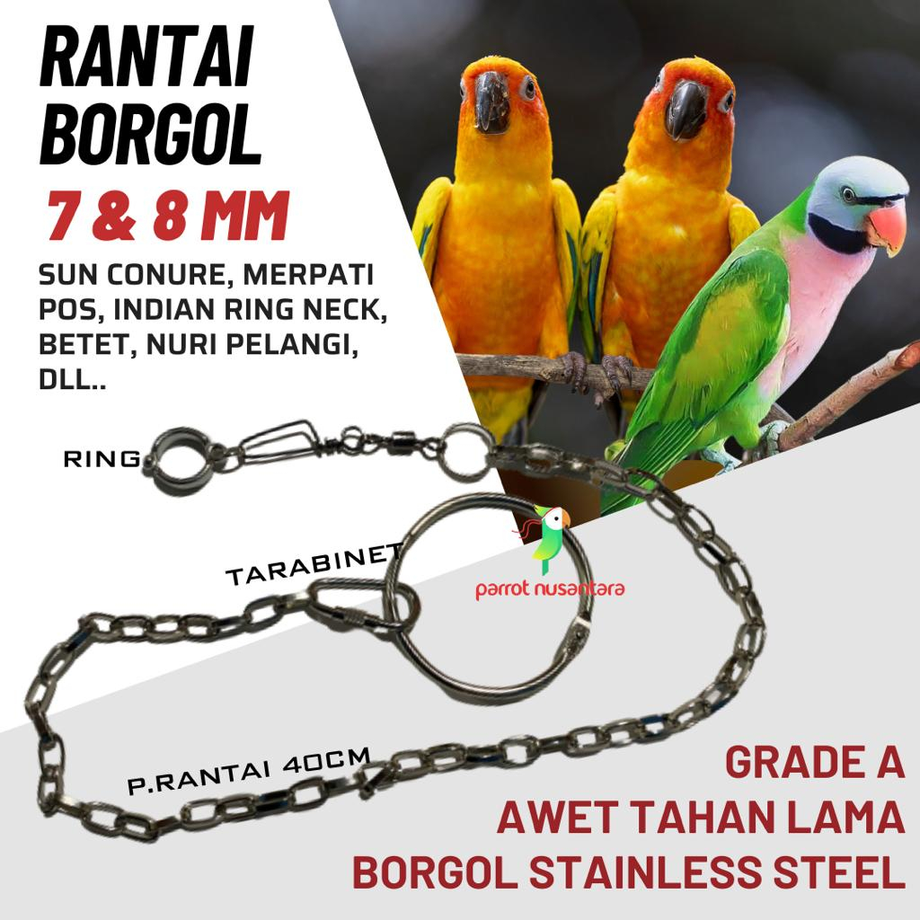 Jual RANTAI BORGOL KAKI BURUNG SUNCONURE NURI 8MM | Shopee Indonesia