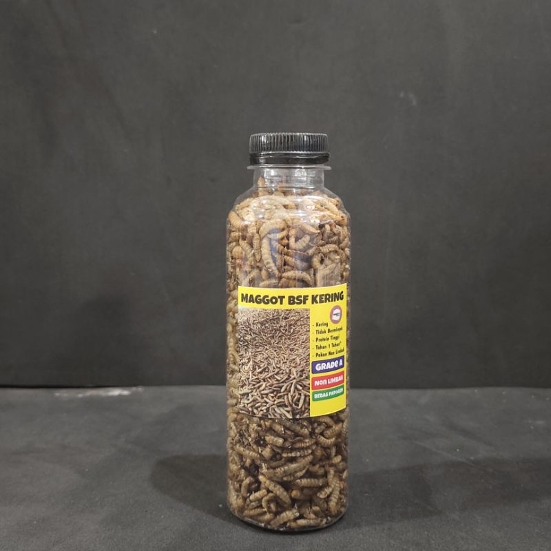 Jual maggot kering bsf magot ulat Hongkong natural kemasan botol 45gr ...
