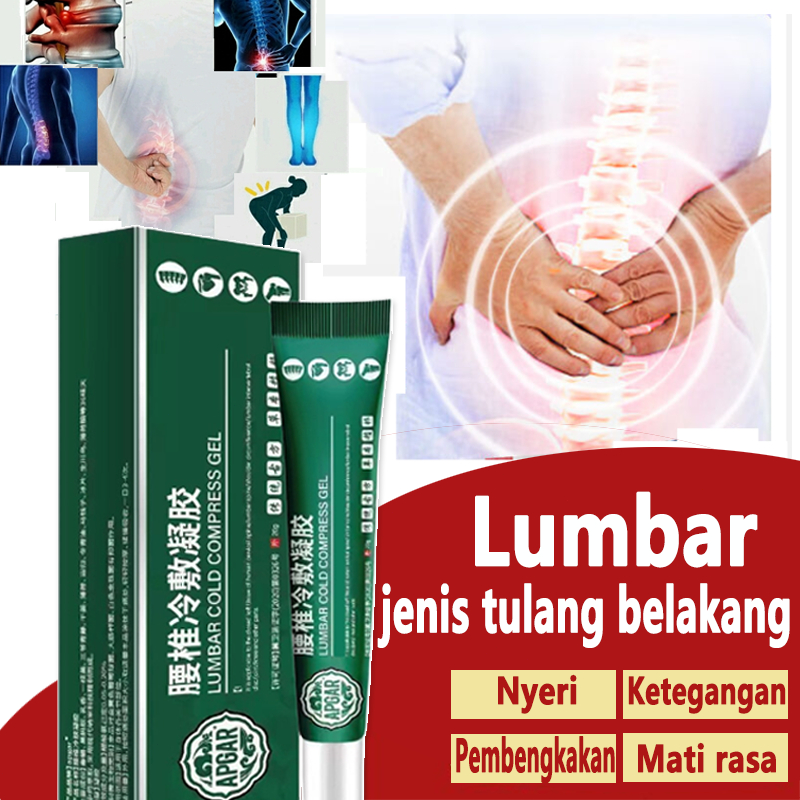 Jual APGAR lumbar cream Lutut Gel 20g Pereda Lumbar Spine Joint Pain ...