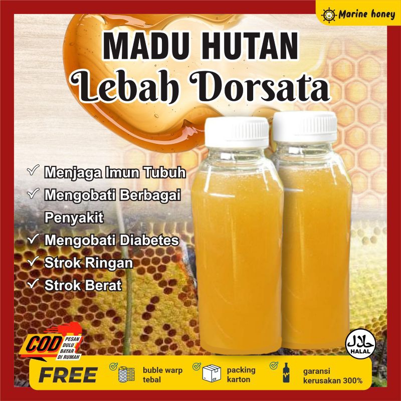 Jual Madu Lebah Liar Hutan Jawa,Madu odeng Nektar Multiflora asli Murni ...