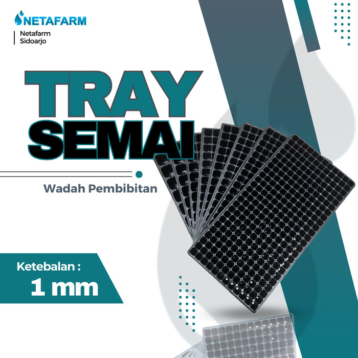 Jual Tray Semai 32 50 72 105 128 162 200 288 Lubang Tebal 1 mm - pcs ...