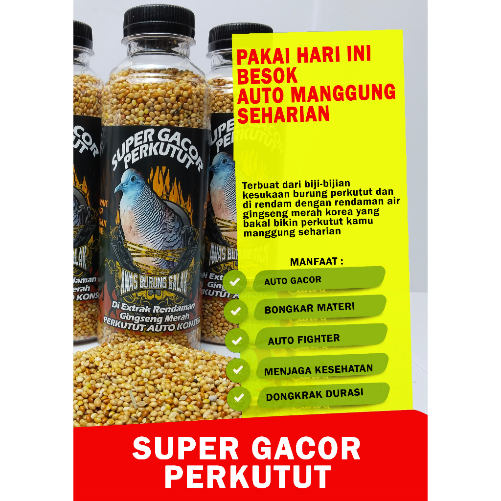 Jual pakan perkutut super gacor perkutut auto manggung | Shopee Indonesia