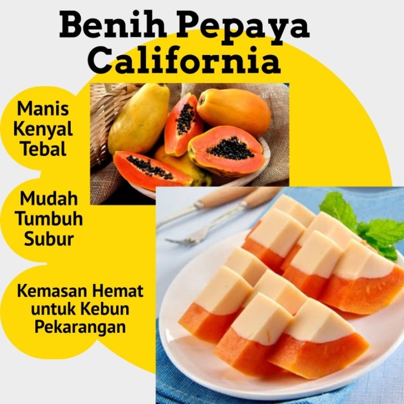 Jual Benih Pepaya California Calina Manis Tebal Kenyal | Shopee Indonesia