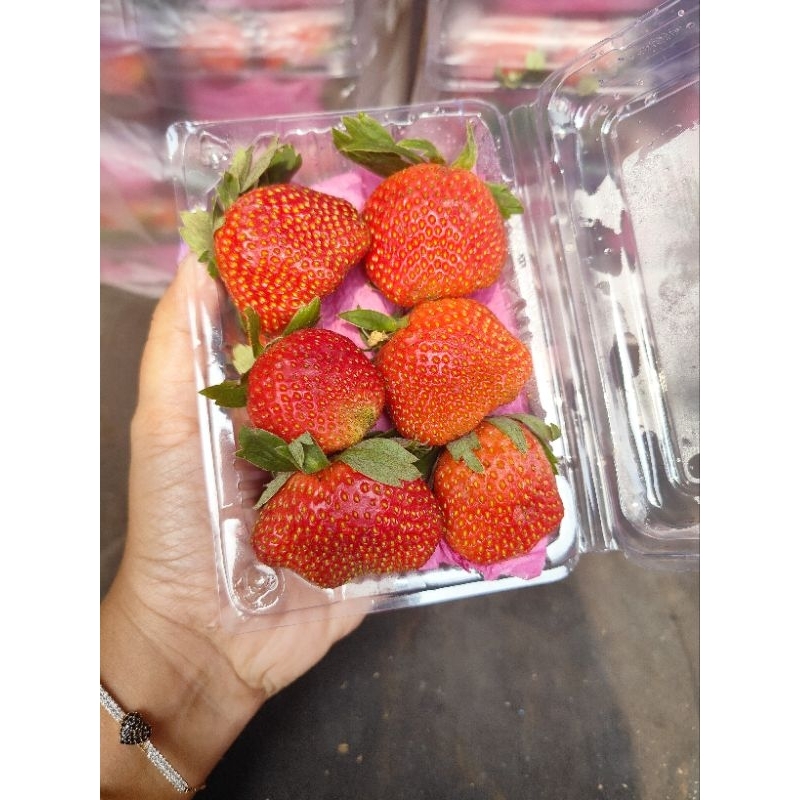 Jual Stawberry Kelly Bright | Shopee Indonesia