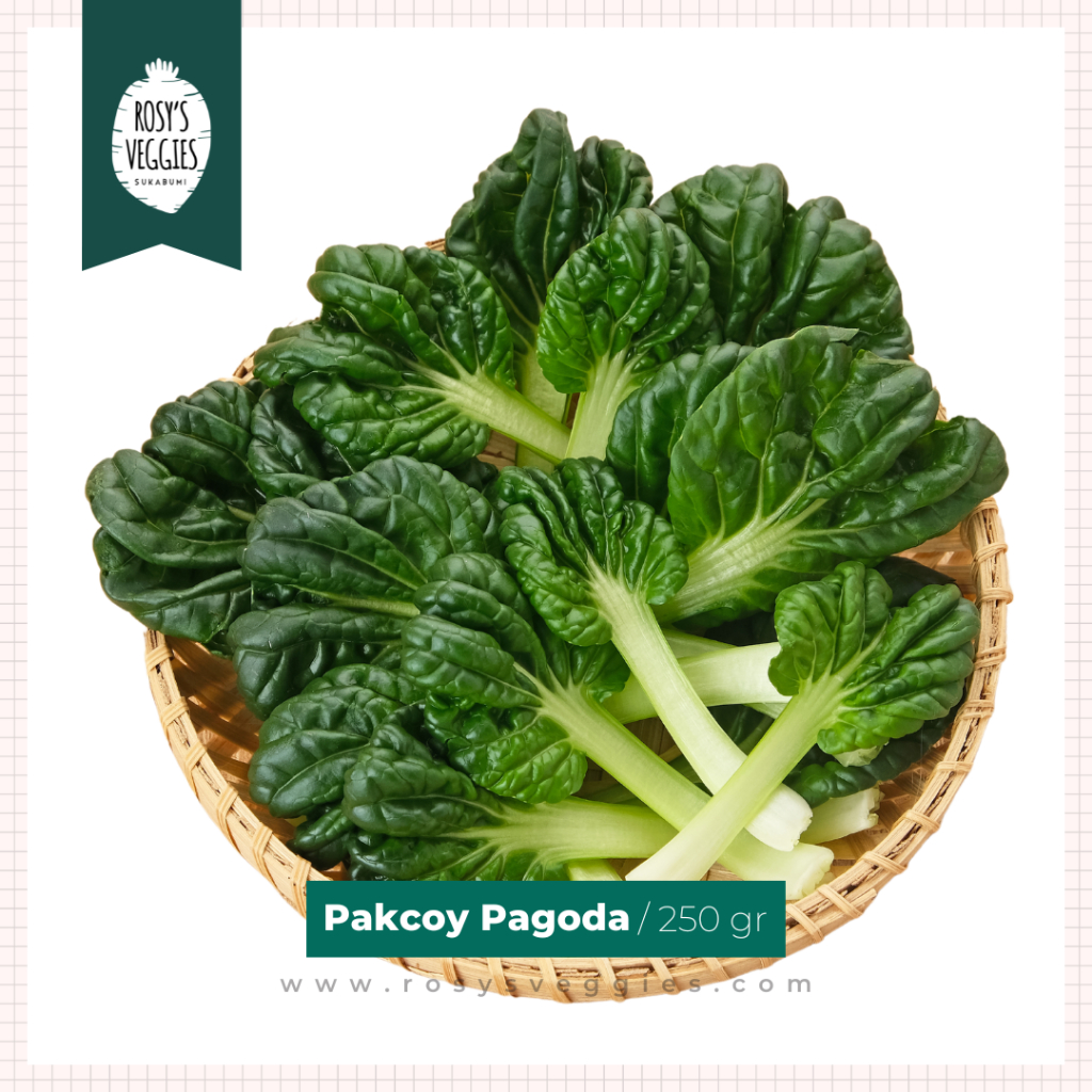 Jual Pakcoy Pagoda Organik | 250 gr | Shopee Indonesia