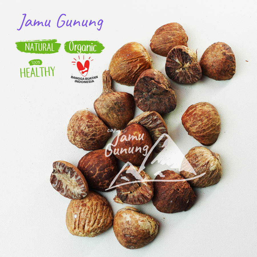 Jual Buah Pinang Kering 1kg - Bersih dan Organik | Shopee Indonesia