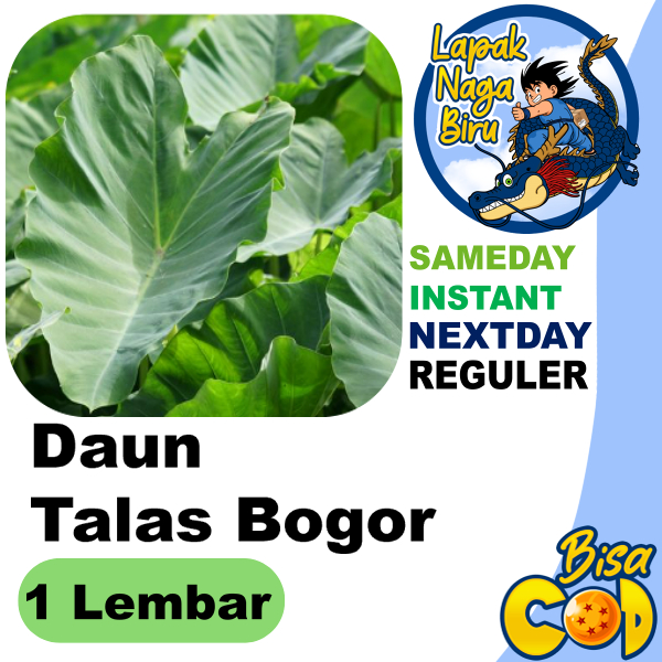 Jual Daun talas Bogor/ fresh murah / bungkus buntil / masakan buntil ...