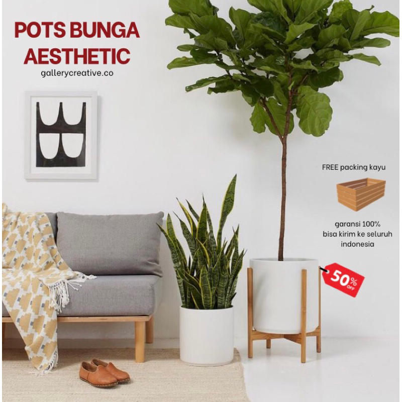 Jual pot bunga besar - pot terakota free packing kayu - pot tanah liat ...