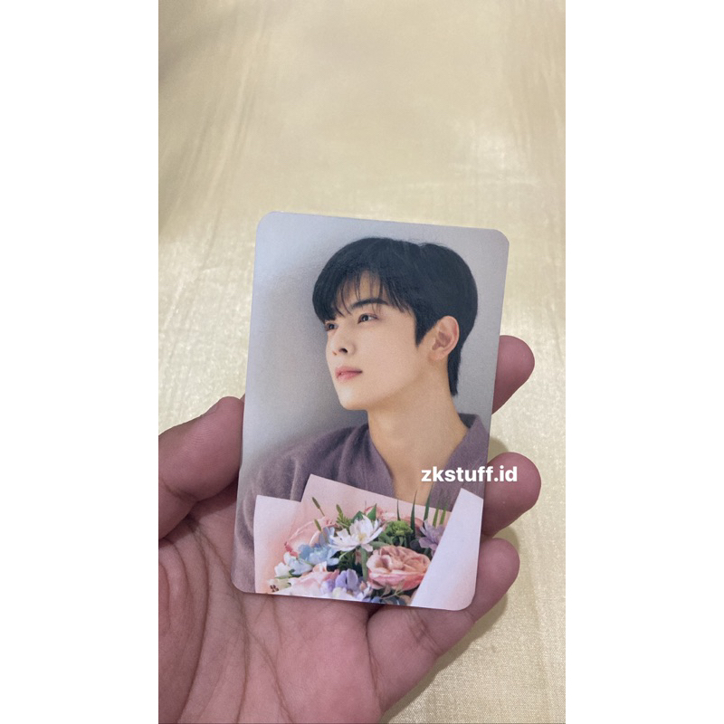 Jual PHOTOCARD CHA EUNWOO ASTRO JAPAN FANMEET | Shopee Indonesia