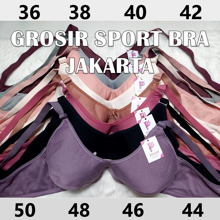 Jual 6 Pcs & 12 Pcs Bra Jumbo Wanita Tanpa Kawat Busa Tipis Sport Bra ...